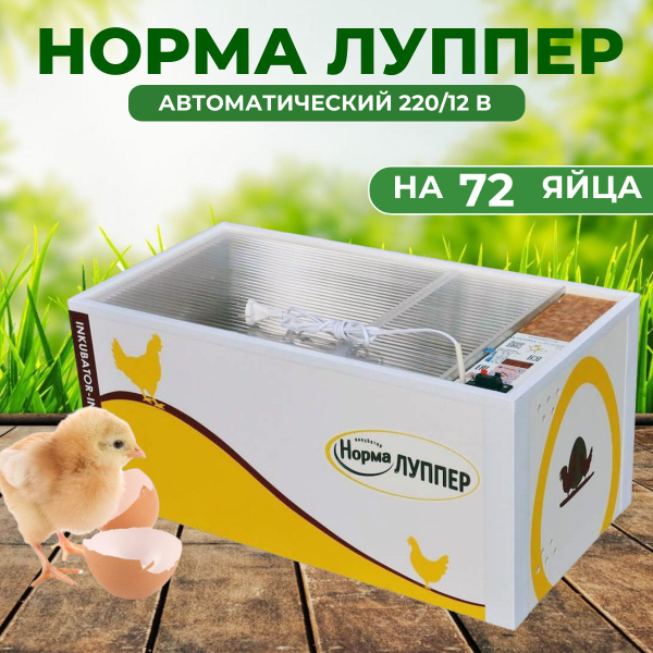 Инкубатор автоматический Норма Луппер - купить с доставкой по выгодным ...
