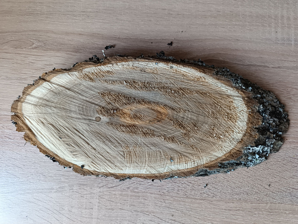 Спил,косой,дубовый - купить с доставкой по выгодным ценам в интернет ...