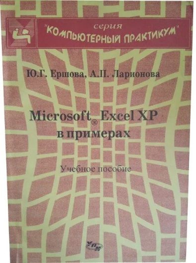 Microsoft Excel XP в примерах учебное пособие - купить с доставкой по выгодным ценам в интернет ...