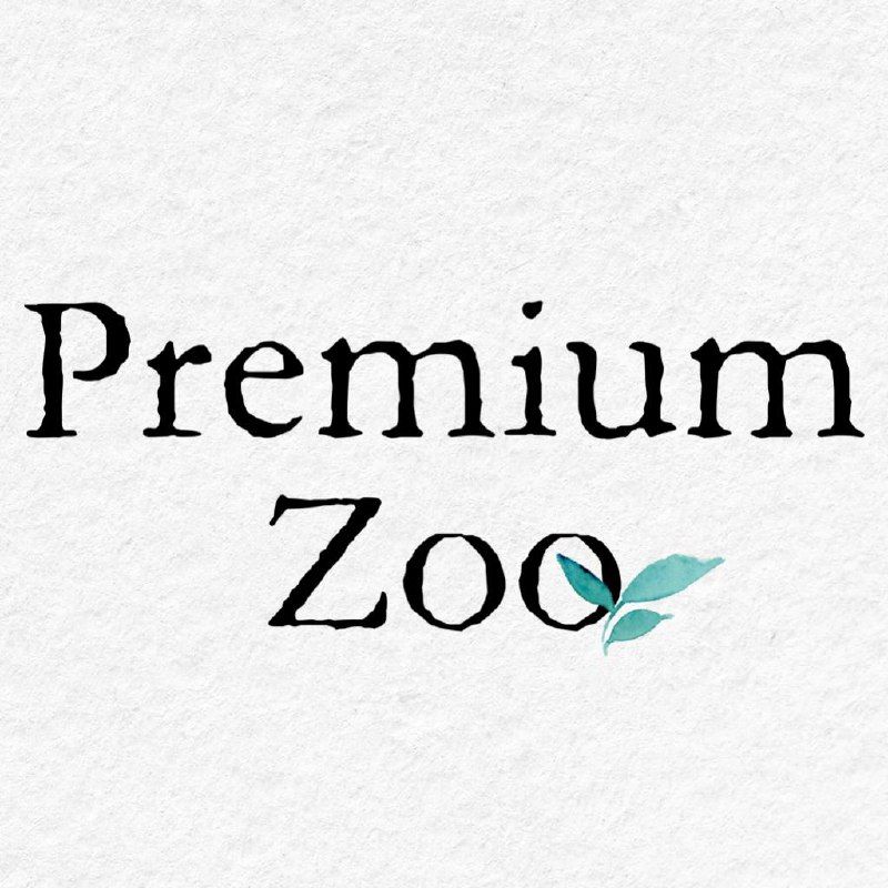 Premium Zoo — купить товары Premium Zoo в интернет-магазине OZON
