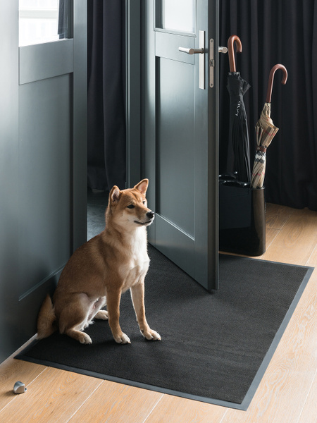 Коврик придверный FUD-GOOD 1 - купить по выгодной цене в интернет ...