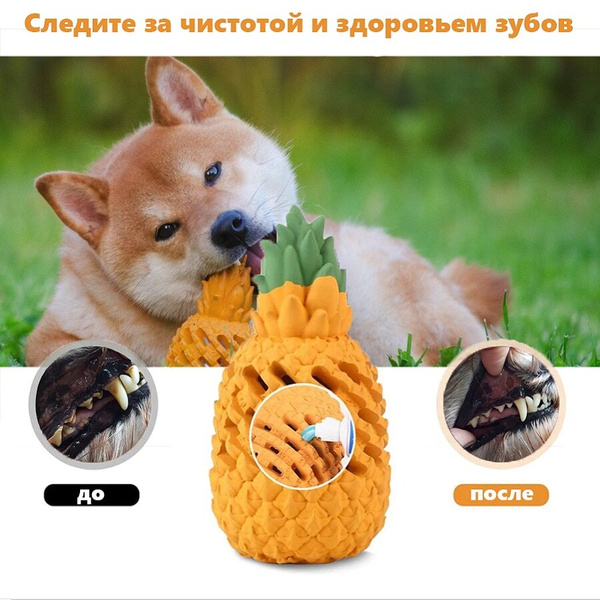 Развивающая игрушка для собак Zookrut Ананас Антистресс Интерактивная ...