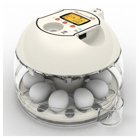 Инкубатор Rcom 10 PRO Plus - купить с доставкой по выгодным ценам в ...