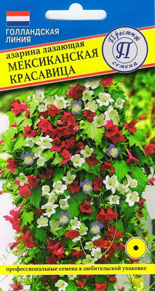 Азарины Престиж семена 006900-1 - купить по выгодным ценам в интернет ...