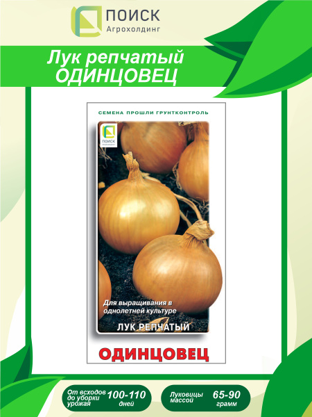 Лук ПОИСК Агрохолдинг Лук репчатый - купить по выгодным ценам в ...