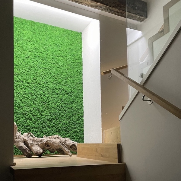 Украшение настенное интерьерное Дом Мха Mossart Стена из мха купить по доступным ценам в