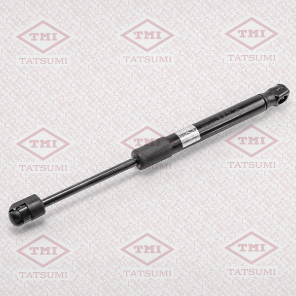 Амортизатор багажника TATSUMI TAF1006 - TMI TATSUMI арт. TAF1006 ...