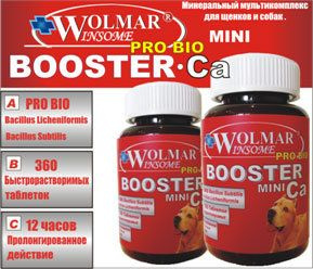 Wolmar Winsome Pro Bio BOOSTER Ca для собак крупных пород, 360 таб ...
