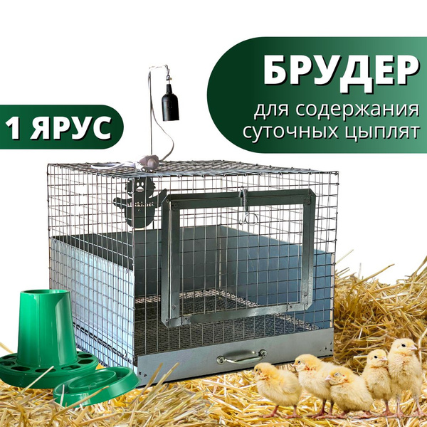 Брудер для цыплят Эконом, Сельский Дворик. клетки-брудеры для бройлеров ...