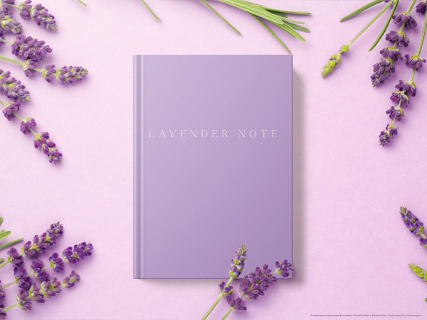 Lavender Note. Мои лавандовые мечты. Блокнот с цветными страницами ...