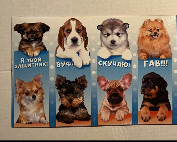 Наклейки и стикеры "Собаки 7" - купить с доставкой по выгодным ценам в ...