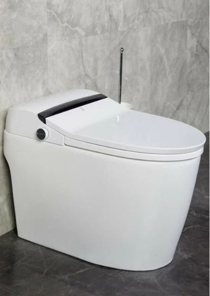 Унитаз приставной Zandini Smart Z19-99 безободковый купить на OZON по низкой цене (834078477)