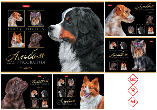 Набор альбомов для рисования Hatber 32 листа, формата А4, на скобе, выборочный лак, 5 штук/5 ...