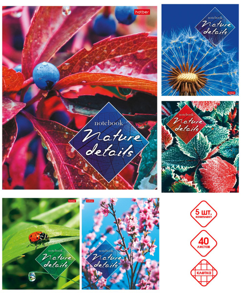 Набор тетрадей Hatber 40 листов, формата А5, в клетку, на скобе, 65 г/кв. м, 5 штук/5 дизайнов ...