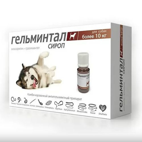 Гельминтал сироп для собак более 10 кг, 10 мл - купить с доставкой по ...