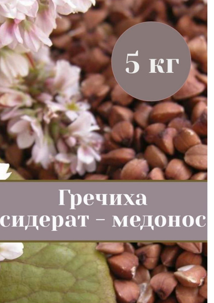 Сидераты, Различные травы С Алтайских полей Гречиха - купить по ...