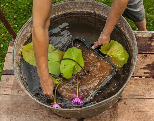 Грунт для водных растений 3 кг - купить по низкой цене в интернет ...