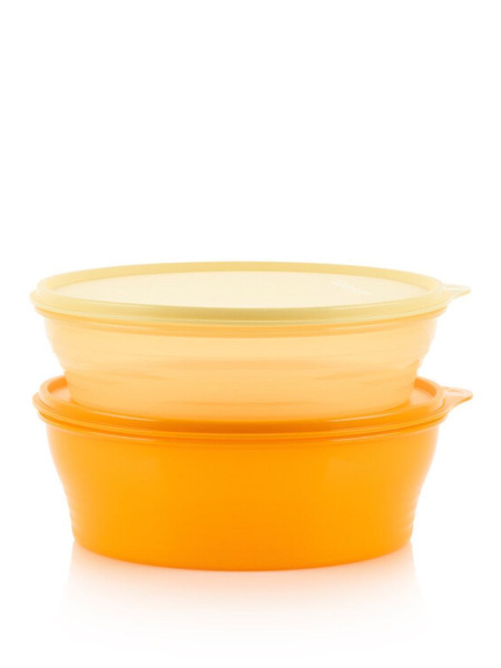 Контейнер пищевой Tupperware, 200*80/200*60, объем 1000 мл, 1400 мл ...