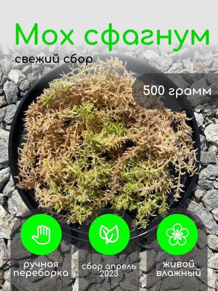 Набор для выращивания Clover, Виолы, анютины глазки, Разнообразные ...