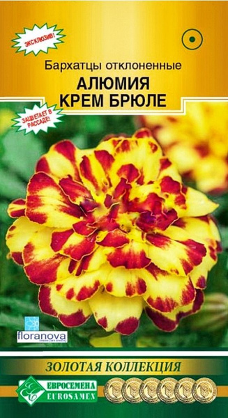 Бархатцы Евросемена Бархатцы отклоненные АЛЮМИЯ Крем Брюле - купить по ...