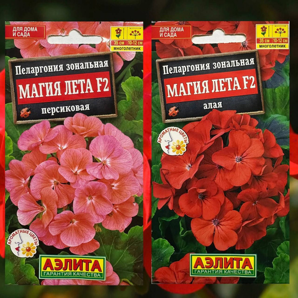Пеларгонии (Герань) Агрофирма Аэлита Семена многолетних цветов для дома ...