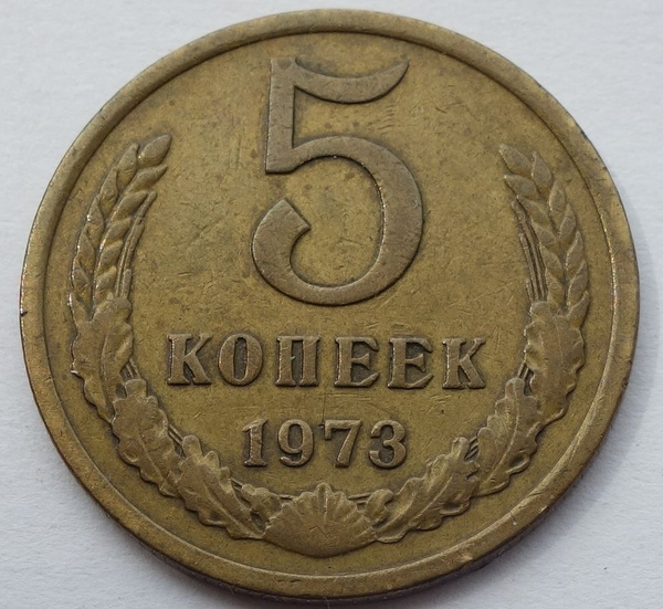 Монета 5 копеек 1973 СССР из оборота - купить в интернет-магазине OZON с быстрой доставкой ...