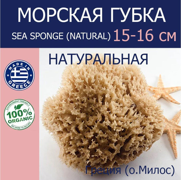 Губка морская натуральная Milos, HONEYCOMB, 15-16 см Греция (о.Милос ...