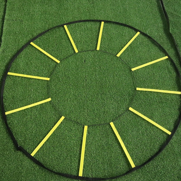 Координированные лестничные кольца Valencia Agility Ladder - купить с ...