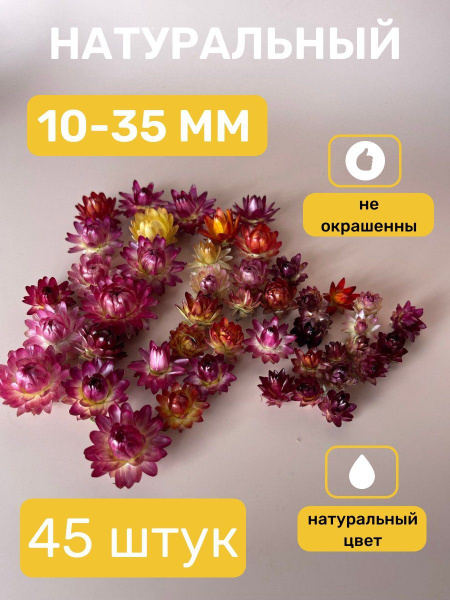 Сухоцветы svecha69 Гелихризум, 50 гр, 45 шт купить по выгодной цене в ...