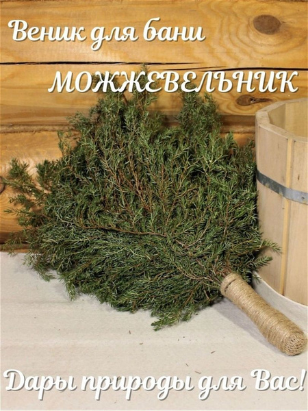 Веник можжевеловый для бани,3 штуки - Веник для бани, купить в интернет ...
