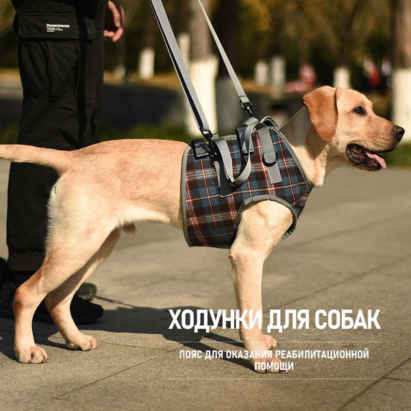 Полная поддержка для собак. Ходунки для пожилых и травмированных собак ...