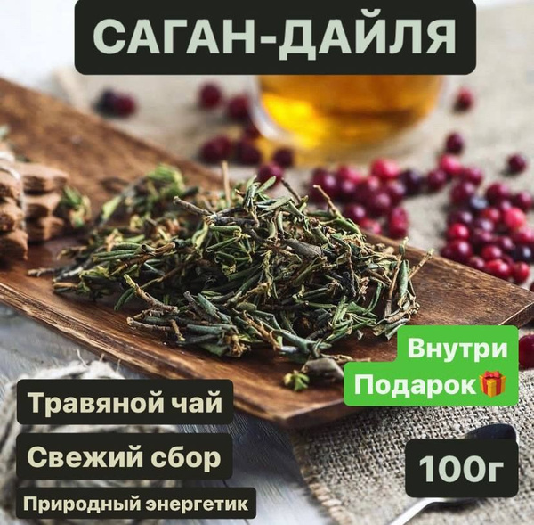 Настоящий Саган Дайля . ( Рододендрон Адамса, , Белое Крыло ...
