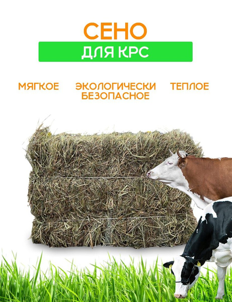 Сено для коров крс подстилка корм тюк 15 кг - купить с доставкой по ...