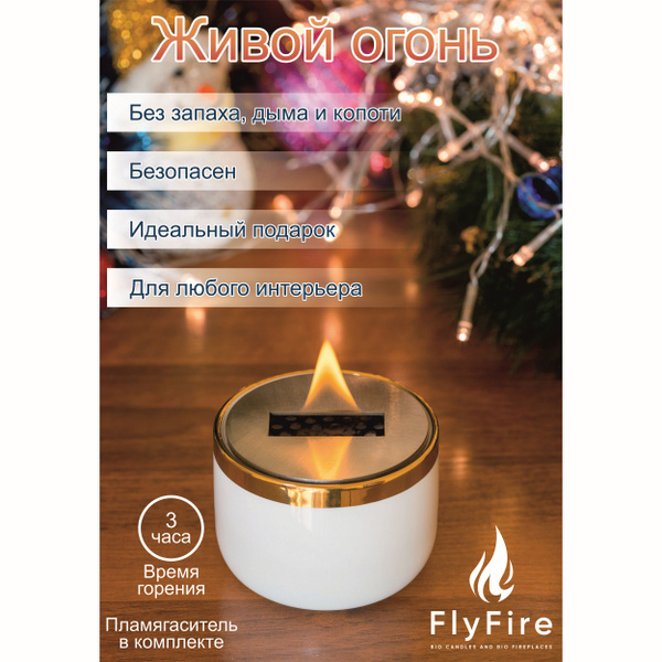 Биокамин FlyFire FlyFire-223 белый, Настольная, Напольная установка - купить по низким ценам в ...