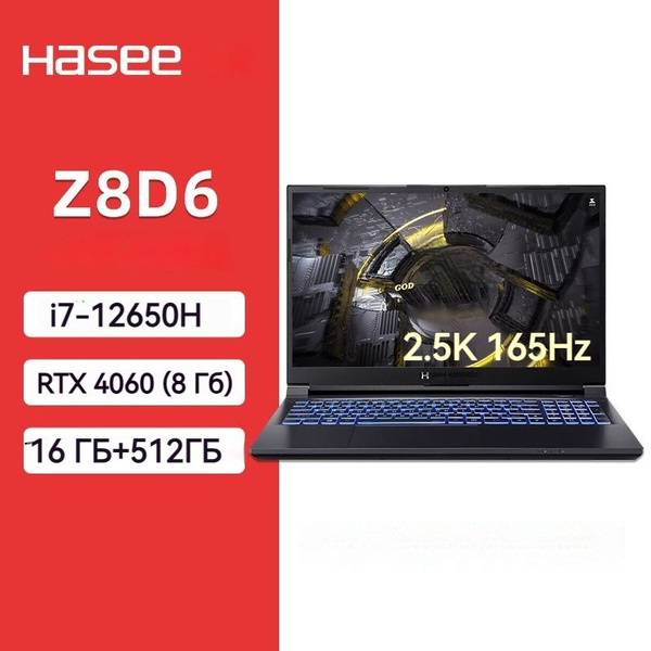 Ноутбук Hasee 240110-Z8D6-i7-12650H-RTX4060, черный купить по низкой ...