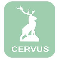 Cervus — купить товары Cervus в интернет-магазине OZON