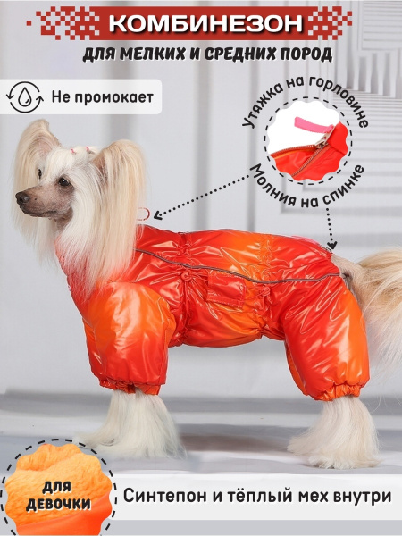 Комбинезон для собак мелких и средних пород ForMyDogs (девочки ...