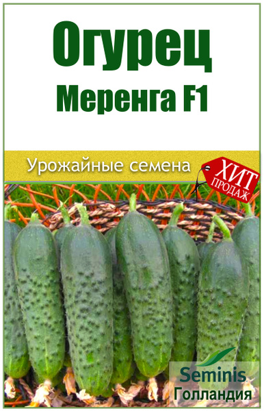Seminis Огурец Меренга - купить по выгодным ценам в интернет-магазине ...