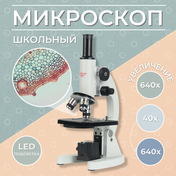 Микроскоп Микромед Эврика 40х-640х (зеркало, LED), Биологический, 640 ...
