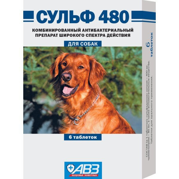 Сульф 480, таблетки, № 6 - купить с доставкой по выгодным ценам в ...