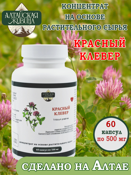 Красный клевер капсулы концентрат на основе растительного сырья Алтая ...