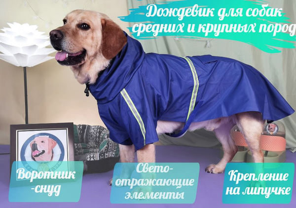 Дождевик Rexy crew со светоотражающими лентами для собак средних и крупных пород , цвет синий ...