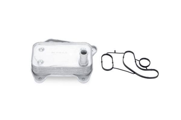 Радиатор масляный MERCEDES BENZ W211 E-KLASSE (2002-2009) 8010-569 ...