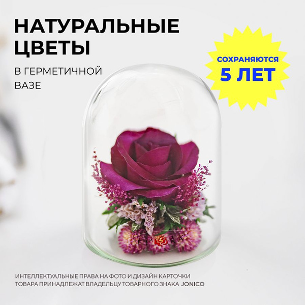 Роза в колбе живая, стабилизированная без химии, выс. 10,8 см ...
