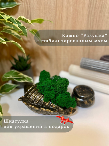 Украшение настольное интерьерное Кашпо ракушка купить по доступным ценам в интернет магазине