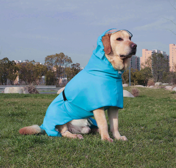 Дождевик-плащ однотонный для собак средних и крупных пород, цвет голубой, размер 8XL, Rexy crew ...