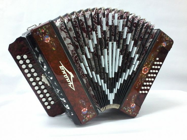 Гармонь шуйская S5XL "Чайка-314" купить на OZON по низкой цене (974332576)