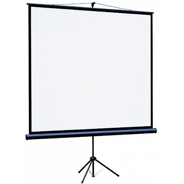 Экран для проектора Lumien LEV-100111 Eco View 153x203 - купить с ...
