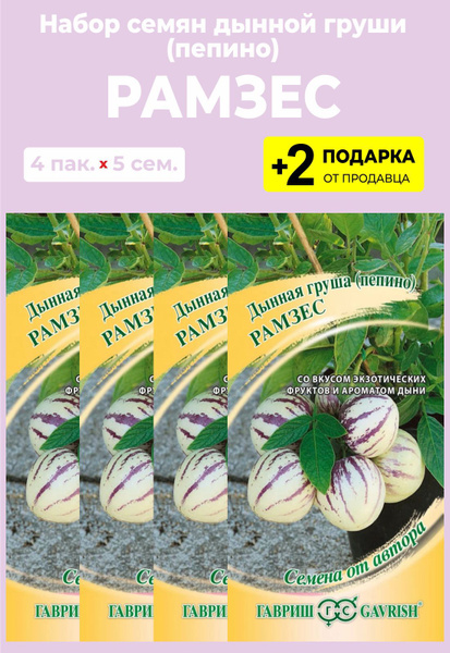 Пепино (Дынная груша) For Home And Family Рамзес_оранжевый - купить по ...