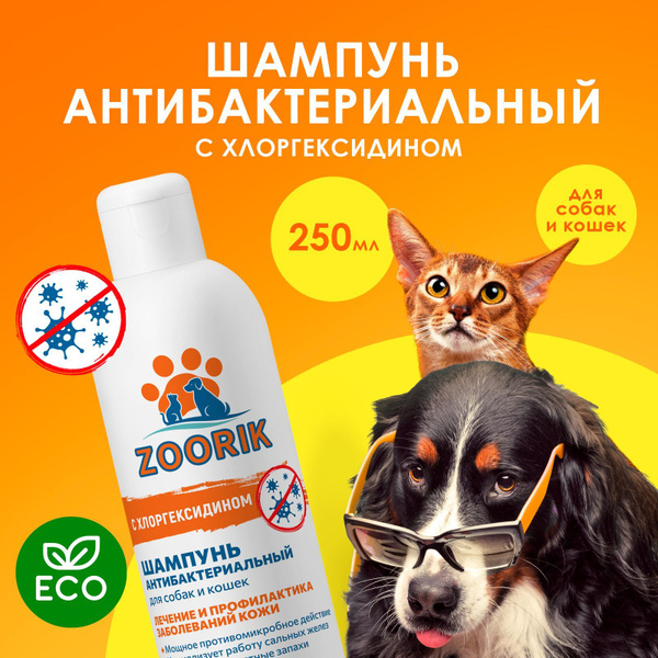 ZOORIK Зурик Шампунь для собак и кошек антибактериальный 250 мл ...